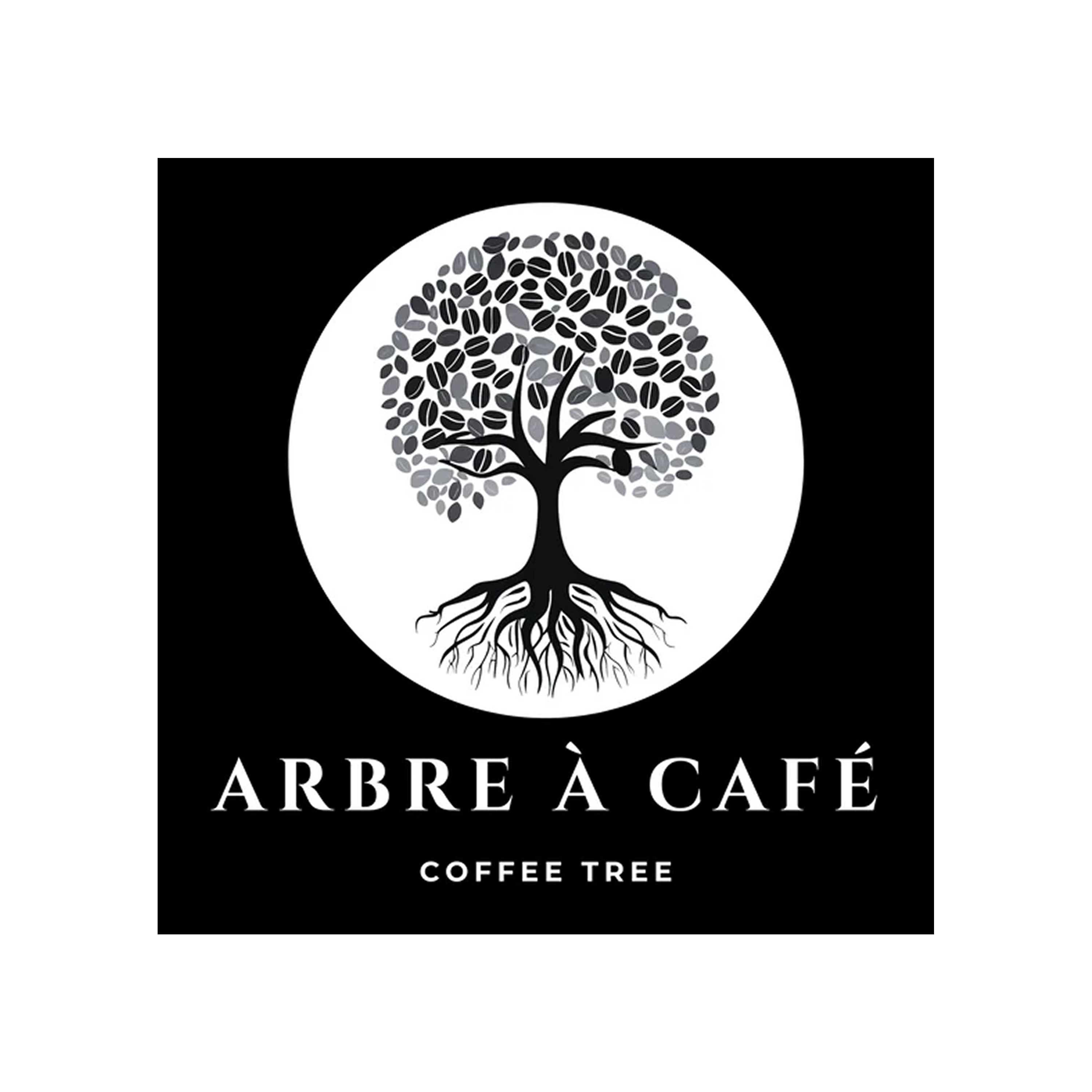 Arbre à café – Café Public